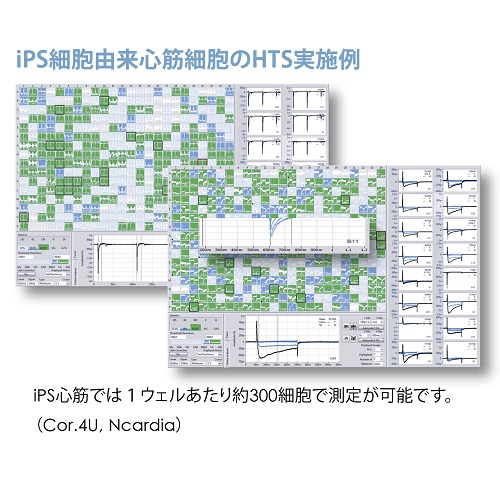 オートパッチクランプシステム | オンラインカタログ | 株式会社池田理化